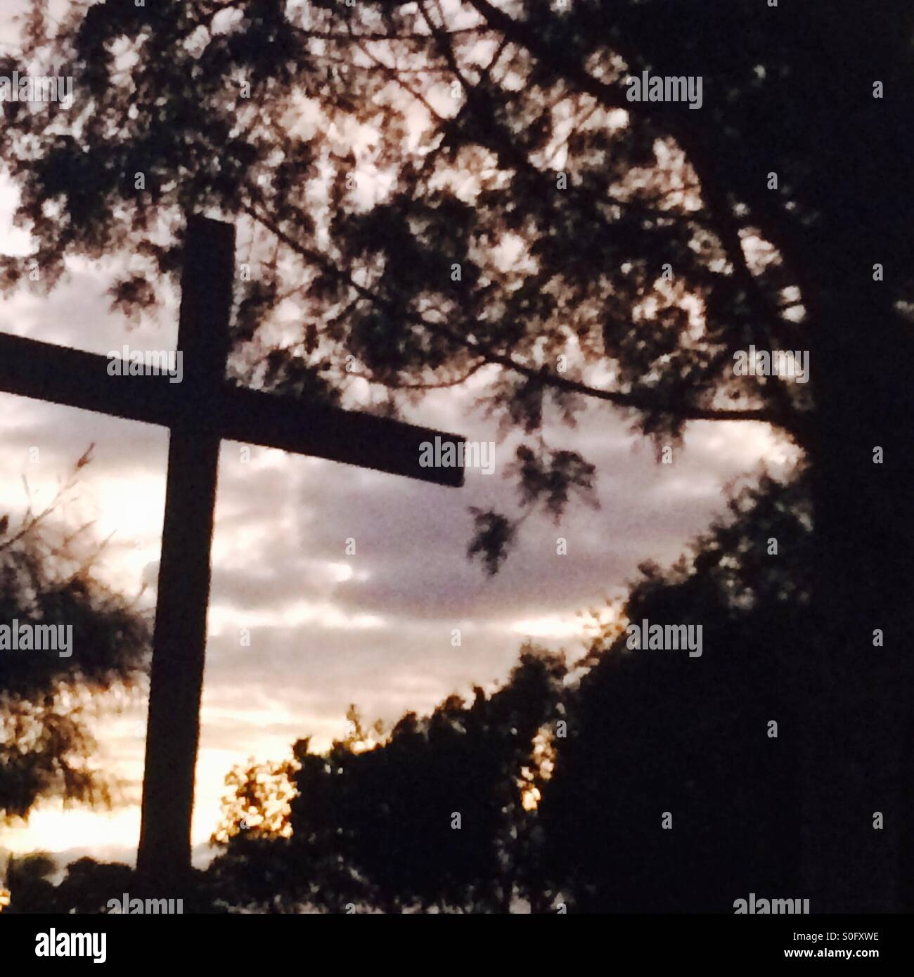 Cross trees hi-res stock photography and images - Alamy