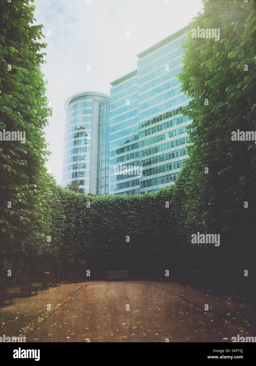 Office building through half moon clearing in trees and park Stock ...