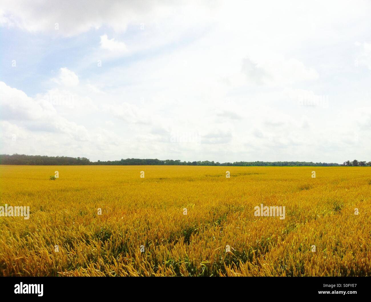 Side beautiful hi-res stock photography and images - Alamy