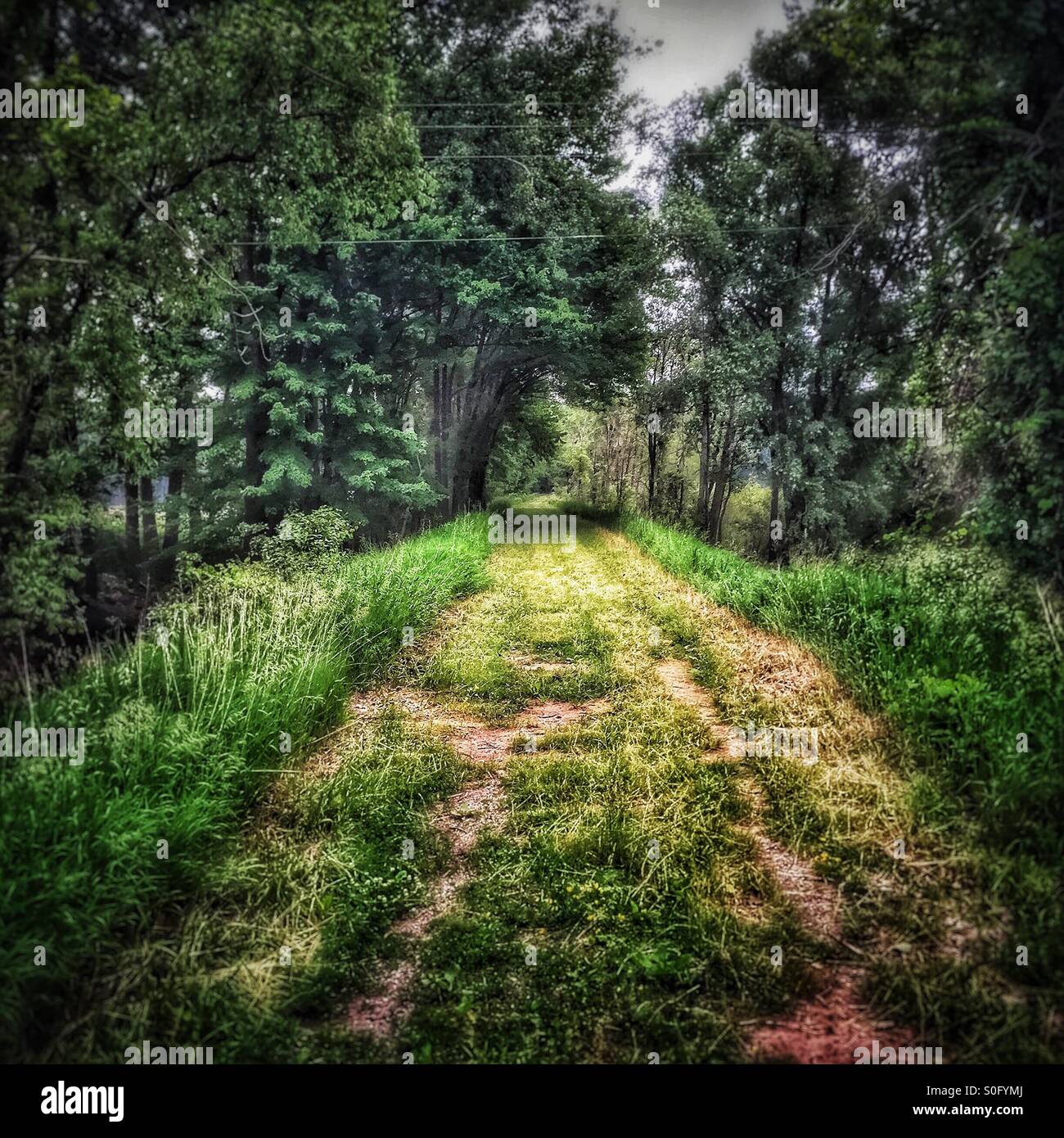 Beautiful nature walk Stock Photo - Alamy