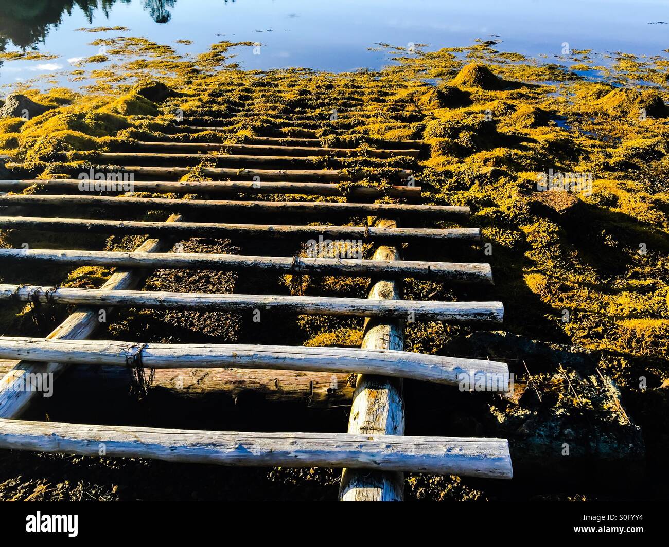 Steps launch hi-res stock photography and images - Alamy