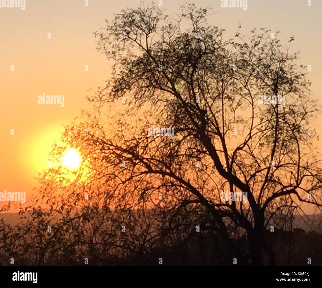 Sunset mountain tree sky hi-res stock photography and images - Alamy