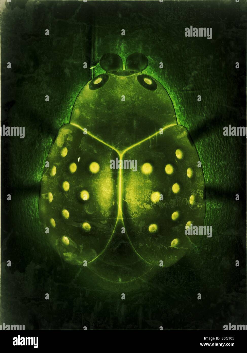 Decor wall hi-res stock photography and images - Alamy