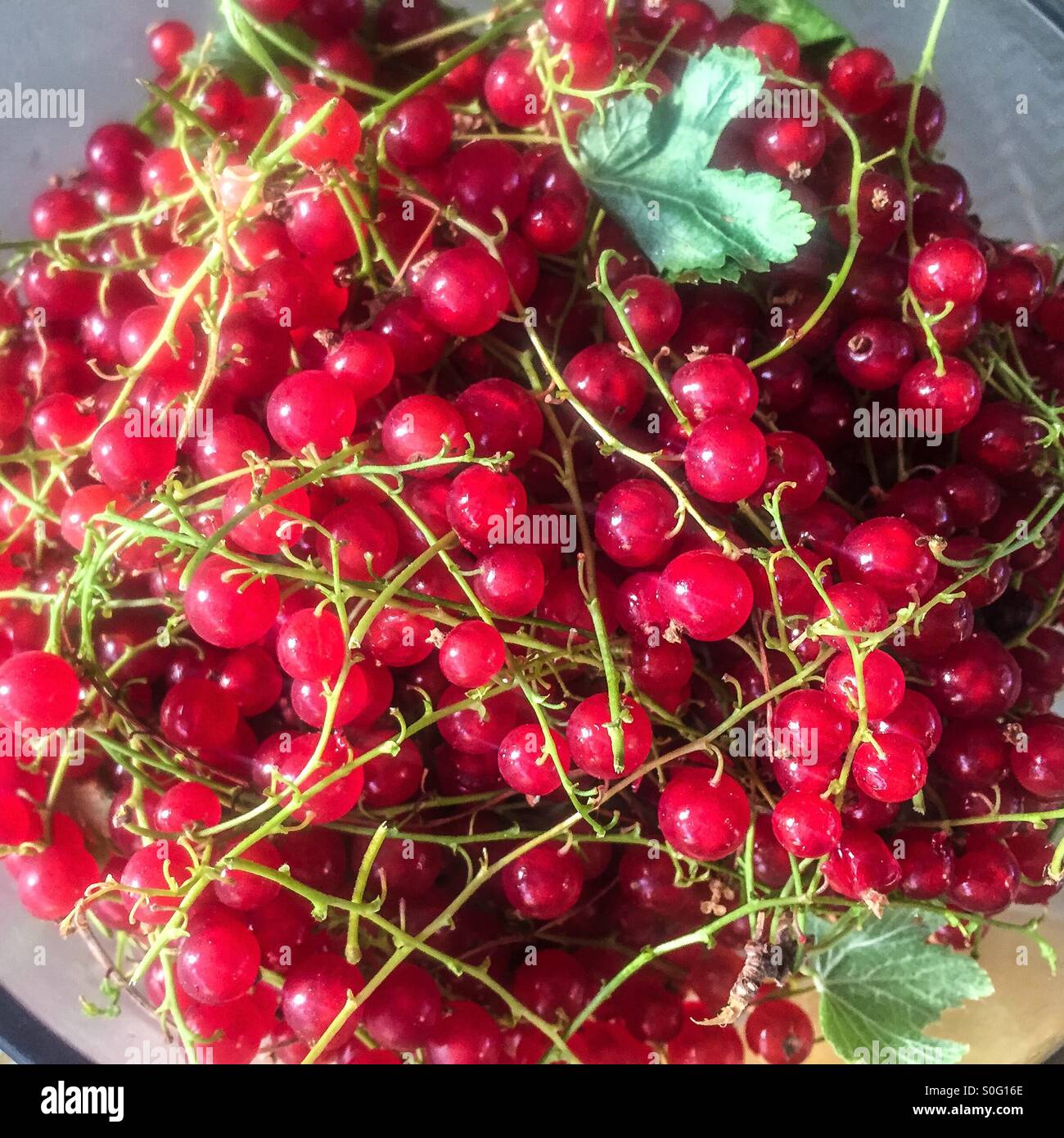 Red currents hi-res stock photography and images - Alamy