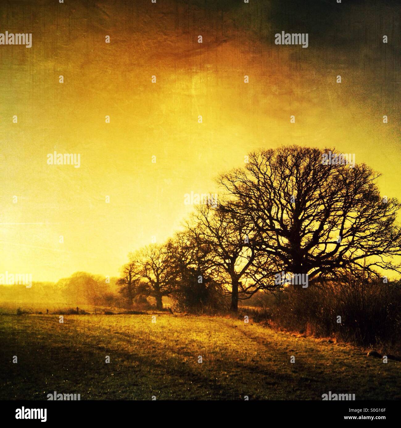 Teigngrace hi-res stock photography and images - Alamy