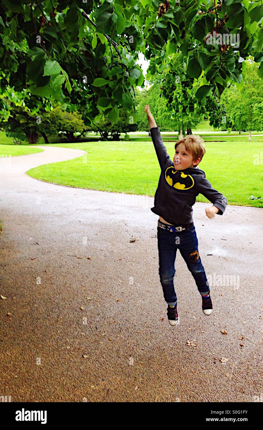 Boy jumping to touch leaves on a tree Stock Photo - Alamy