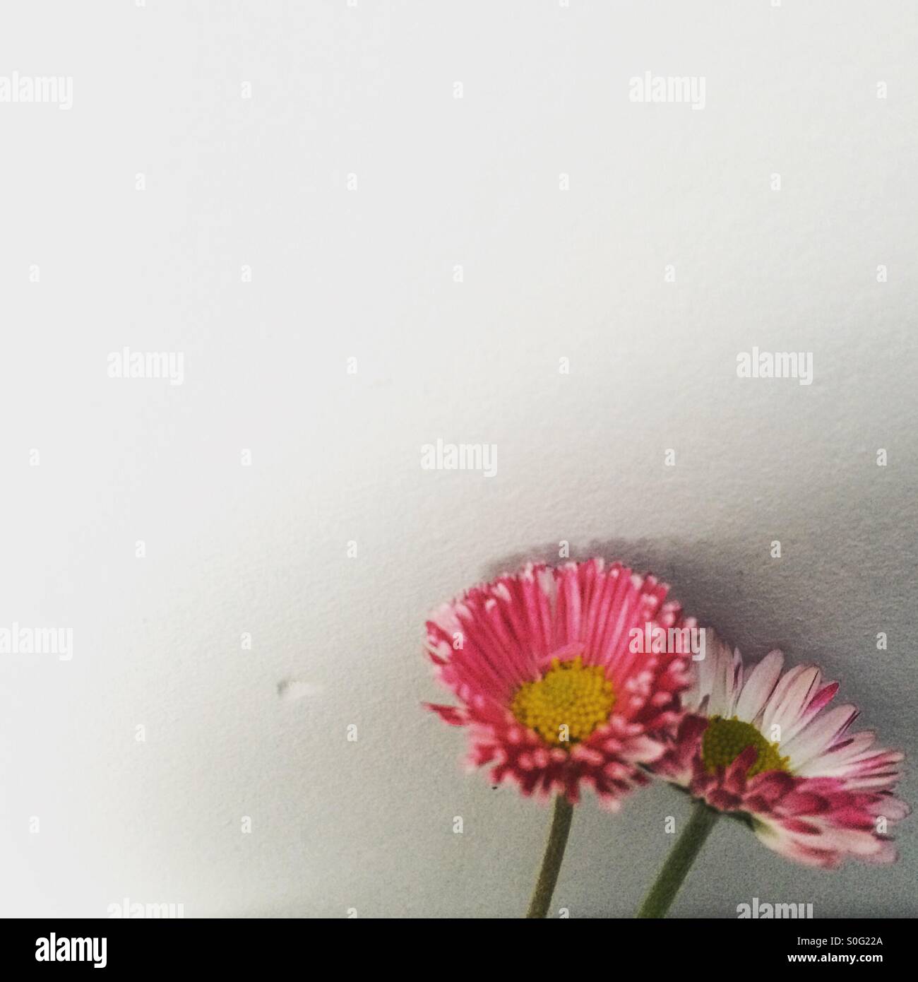 In twos hi-res stock photography and images - Alamy