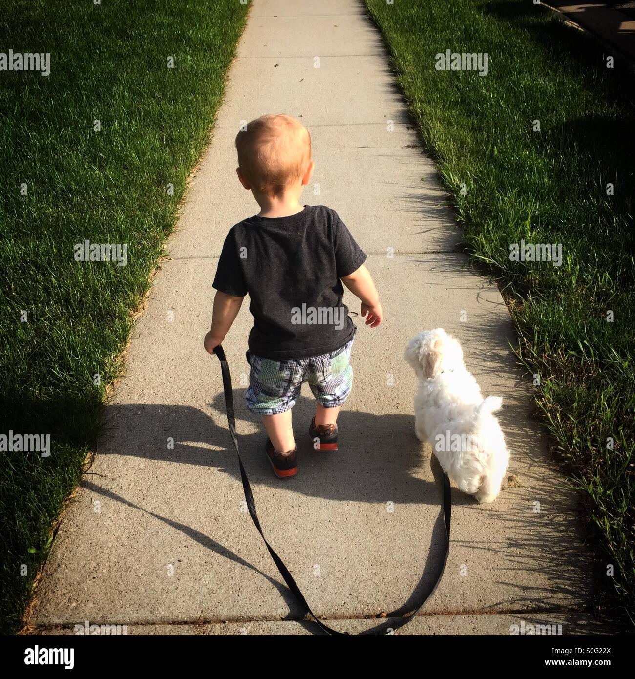 Boy Walking With His Puppy High Resolution Stock Photography and Images ...