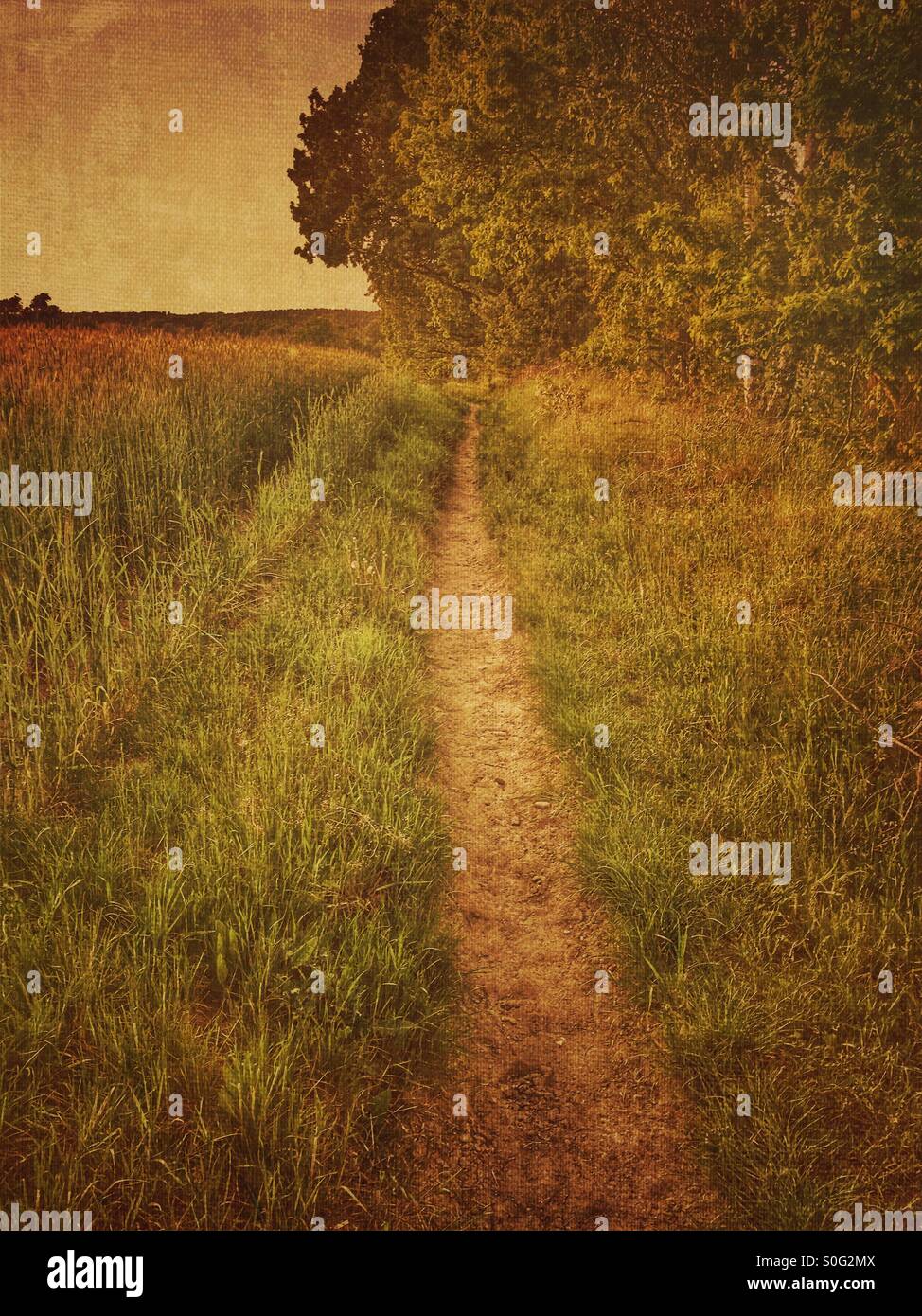 Trail in the countryside Berlin Germany Stock Photo - Alamy