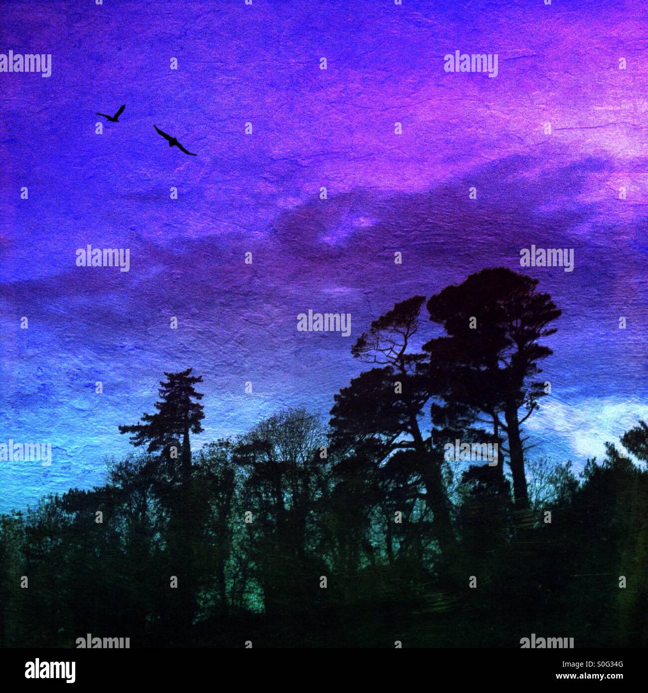 Highweek hi-res stock photography and images - Alamy