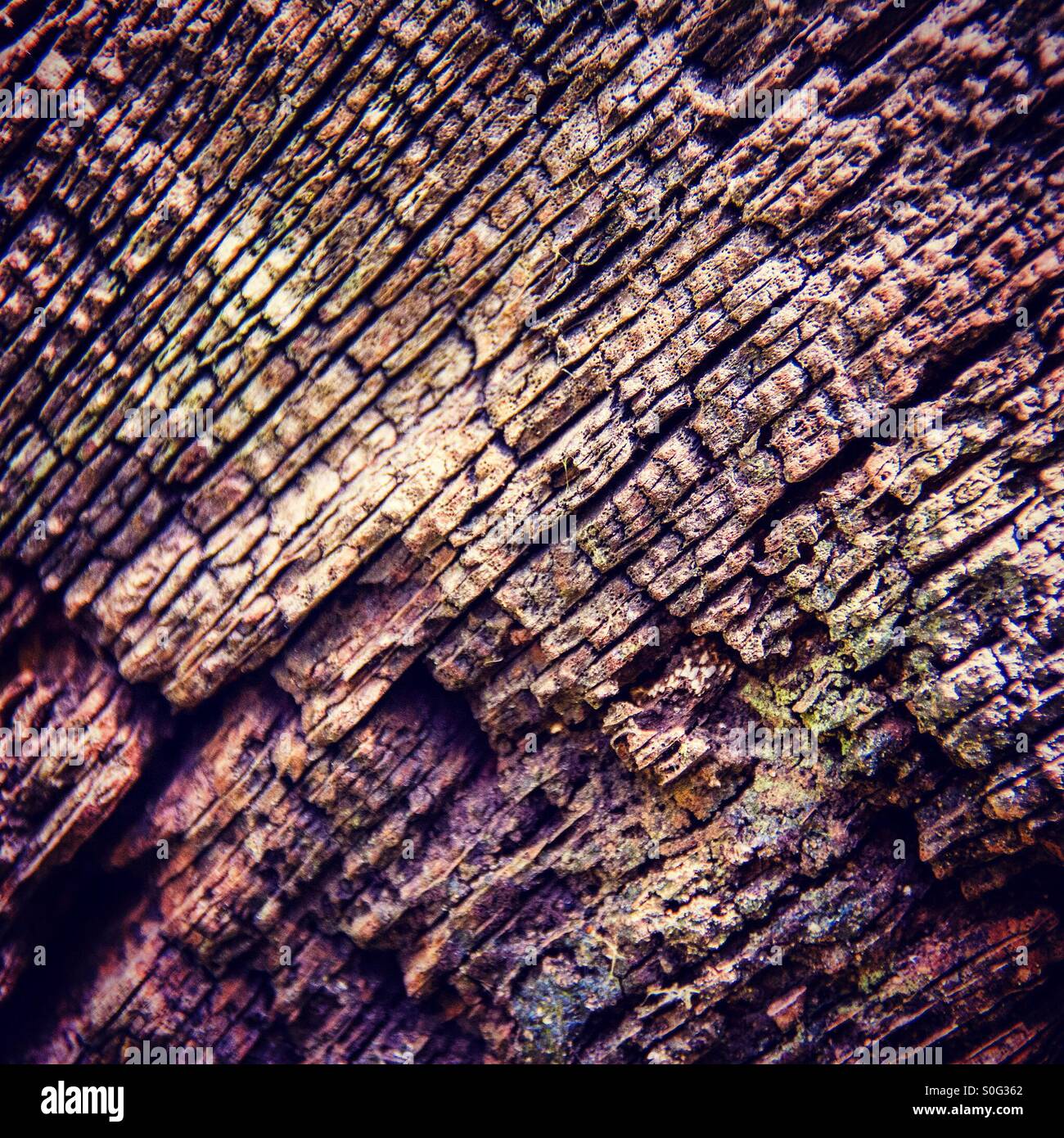 Close up wood texture background Stock Photo - Alamy