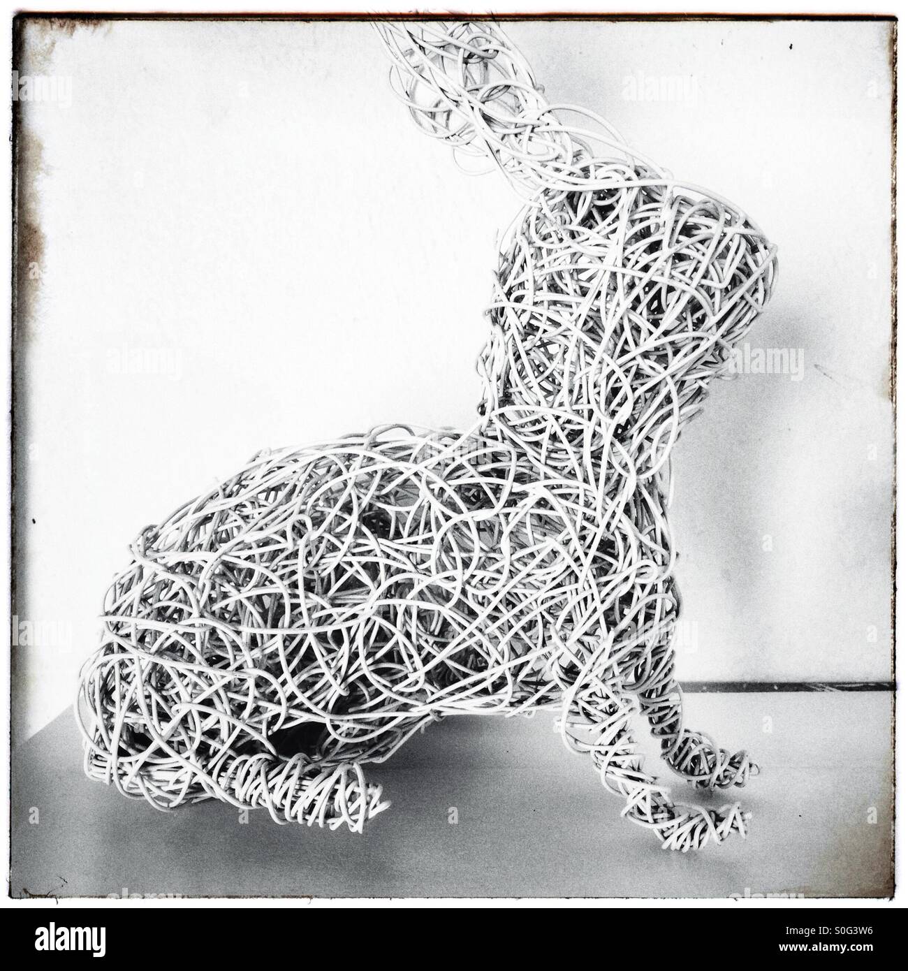 Wire rabbit hi-res stock photography and images - Alamy