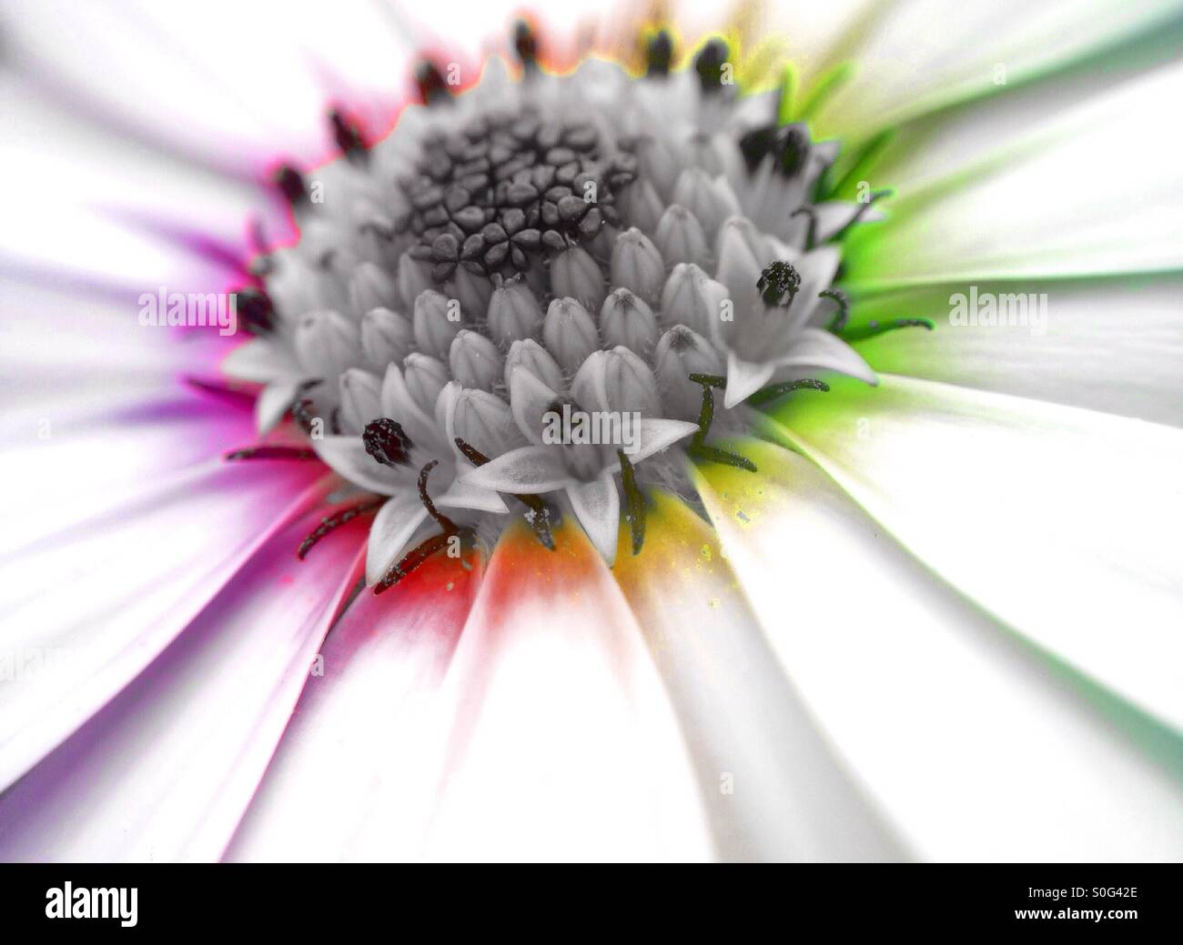 Colour popped color popped hi-res stock photography and images - Alamy