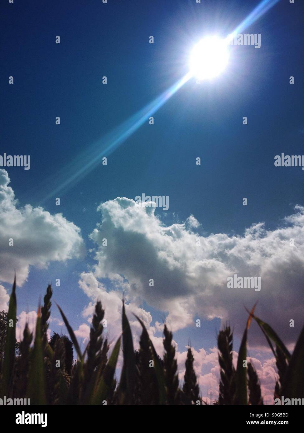 Up land farmland smartphone stock photos and images - Alamy