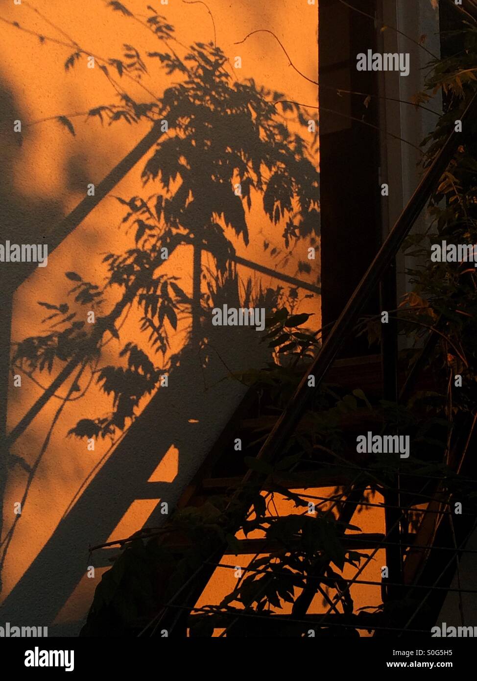 Summer shadow hi-res stock photography and images - Alamy