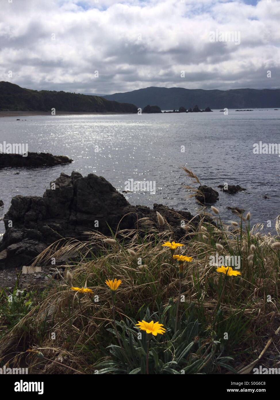 Seaside blooms hi-res stock photography and images - Alamy
