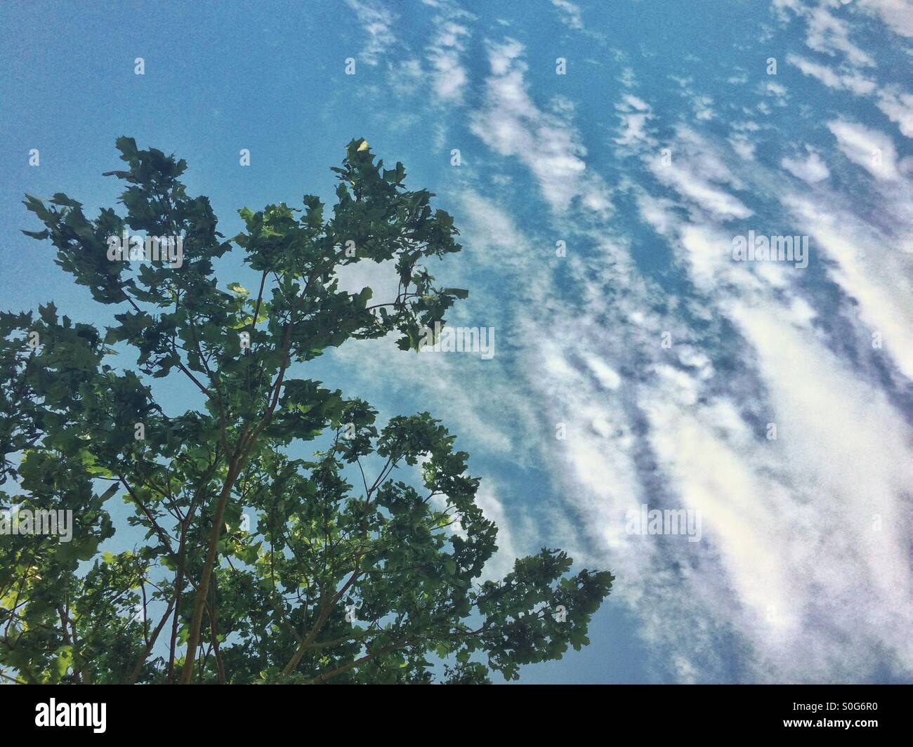 Blue sky thinking hi-res stock photography and images - Alamy