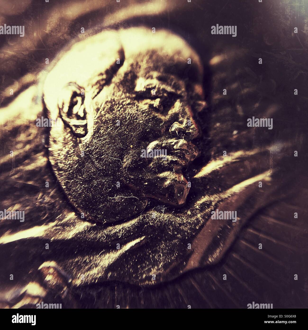 Image of lenin hi-res stock photography and images - Alamy