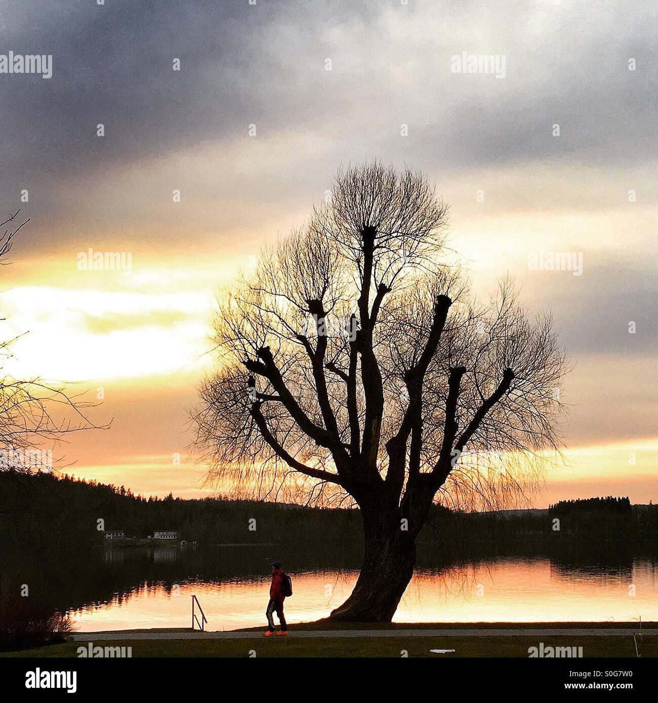 Man tree silhouette hi-res stock photography and images - Alamy