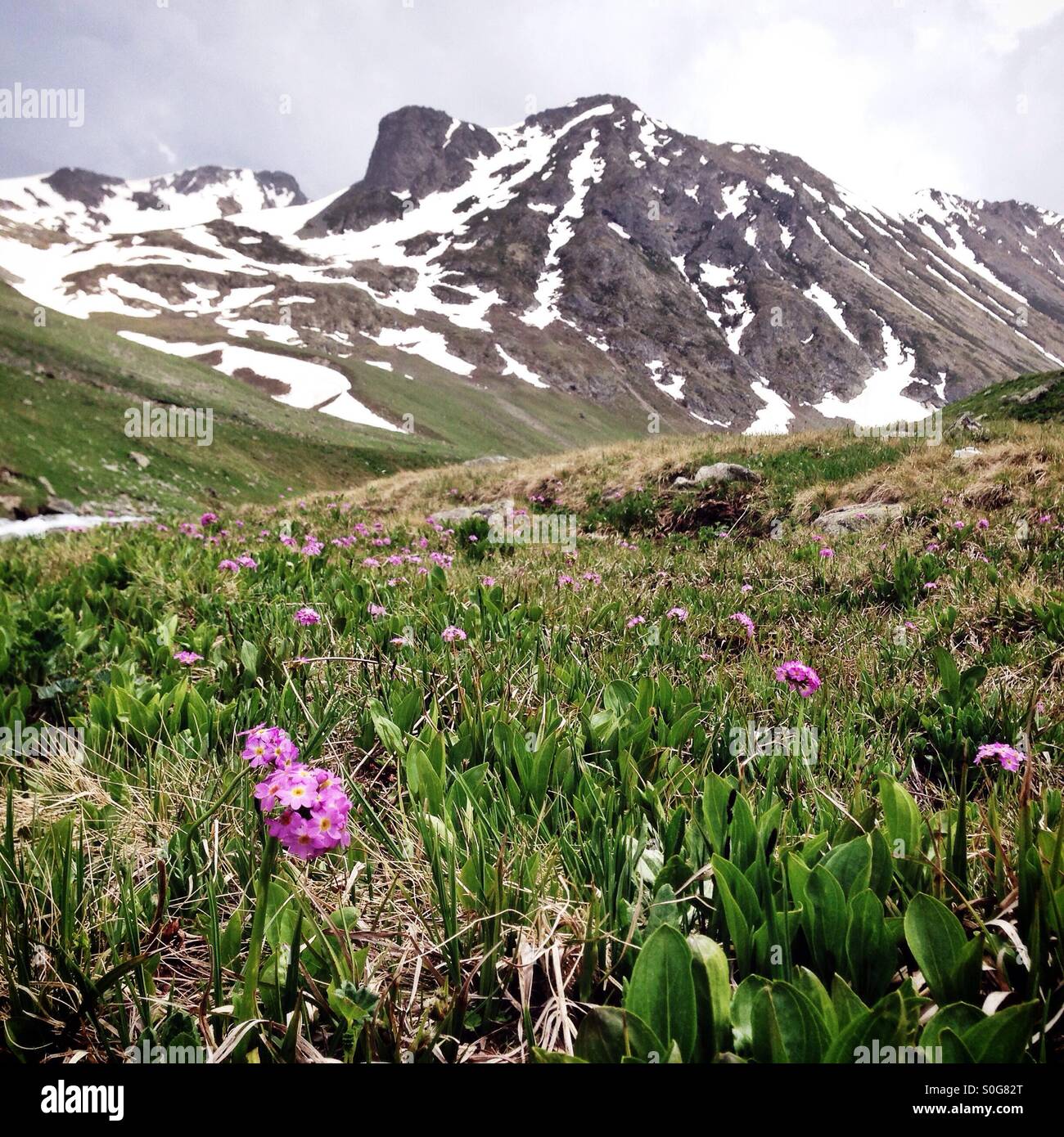 Kackar Mountain High Resolution Stock Photography and Images - Alamy