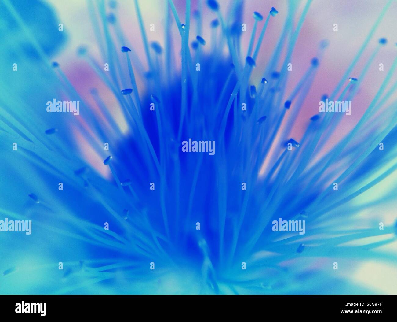 Inverted colour image hi-res stock photography and images - Alamy