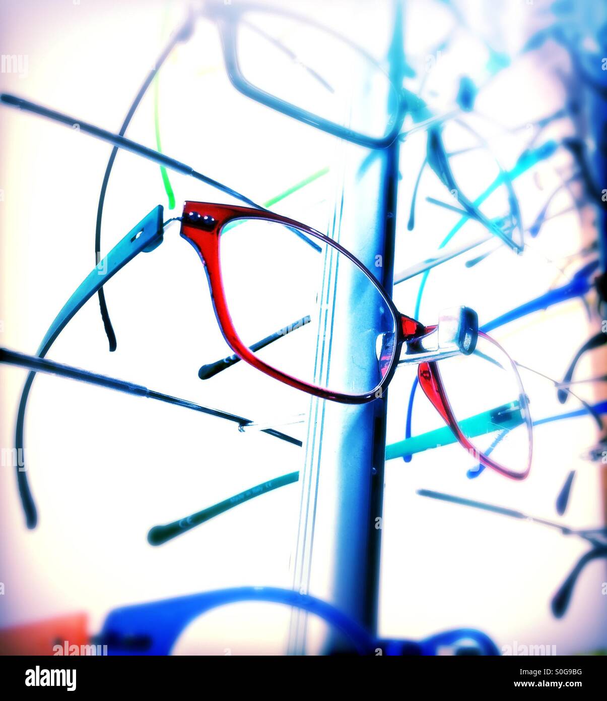 Designer eyeglass frame display in retail store, USA Stock Photo - Alamy