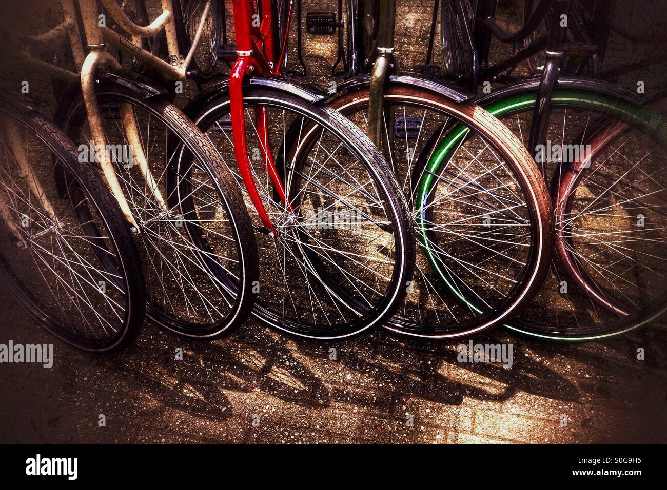 A row of coloured bicycle wheels Stock Photo - Alamy