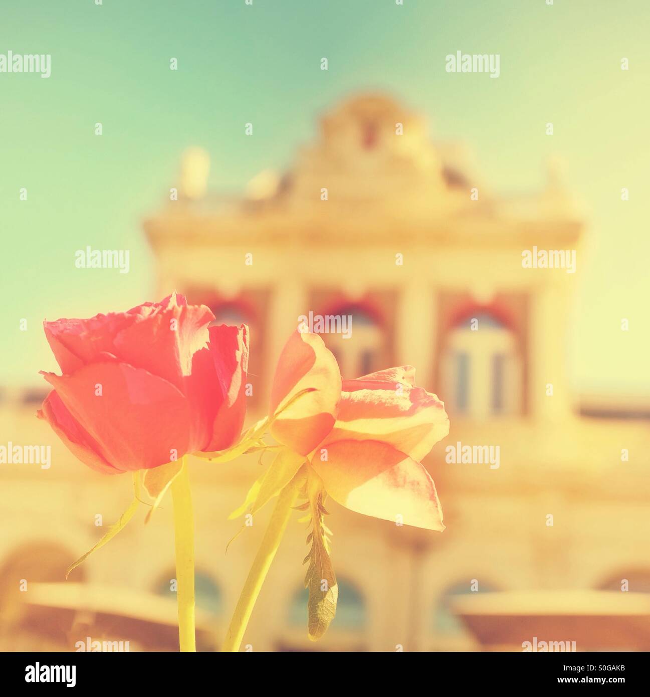 Summer romantic hi-res stock photography and images - Alamy