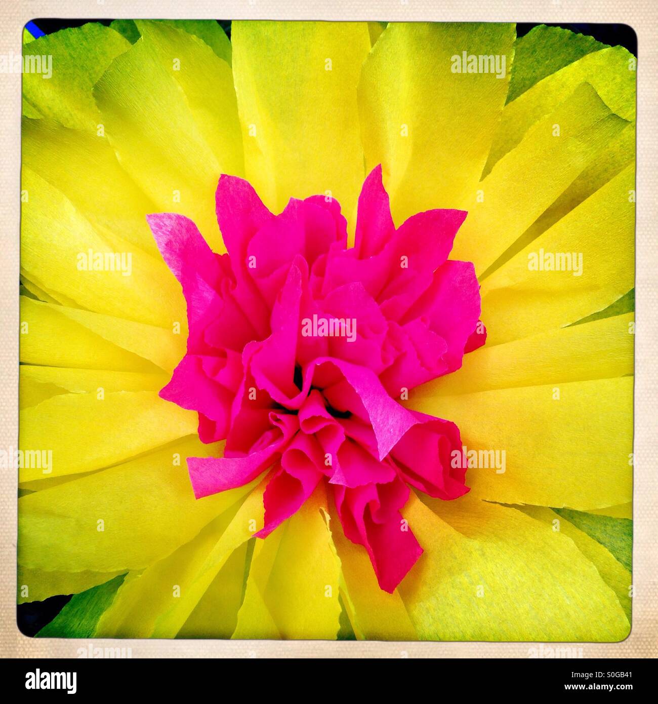 Paper flower hi-res stock photography and images - Alamy