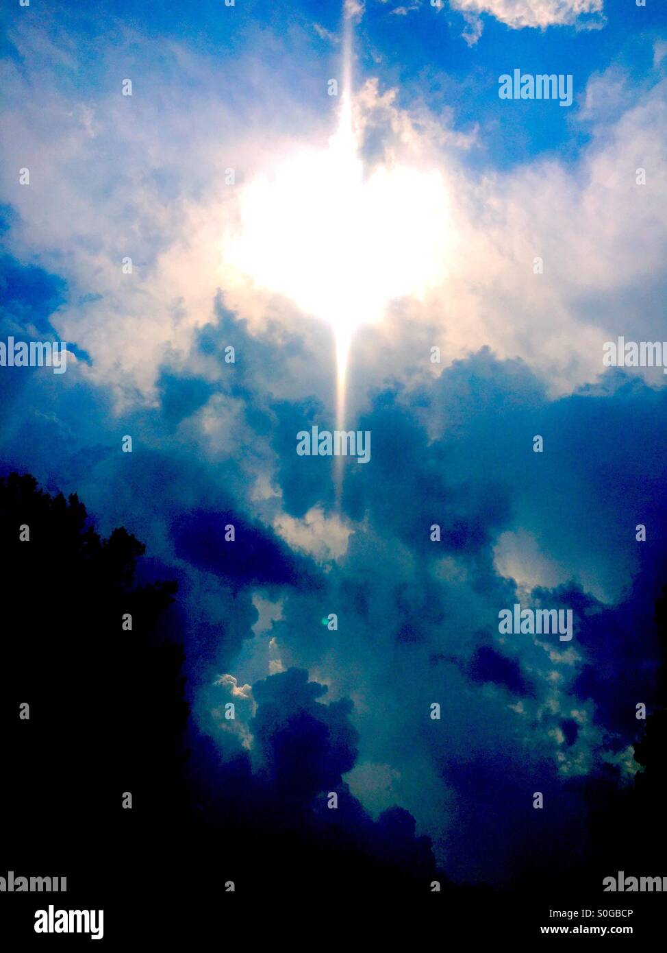 Bright dark contrast hi-res stock photography and images - Alamy