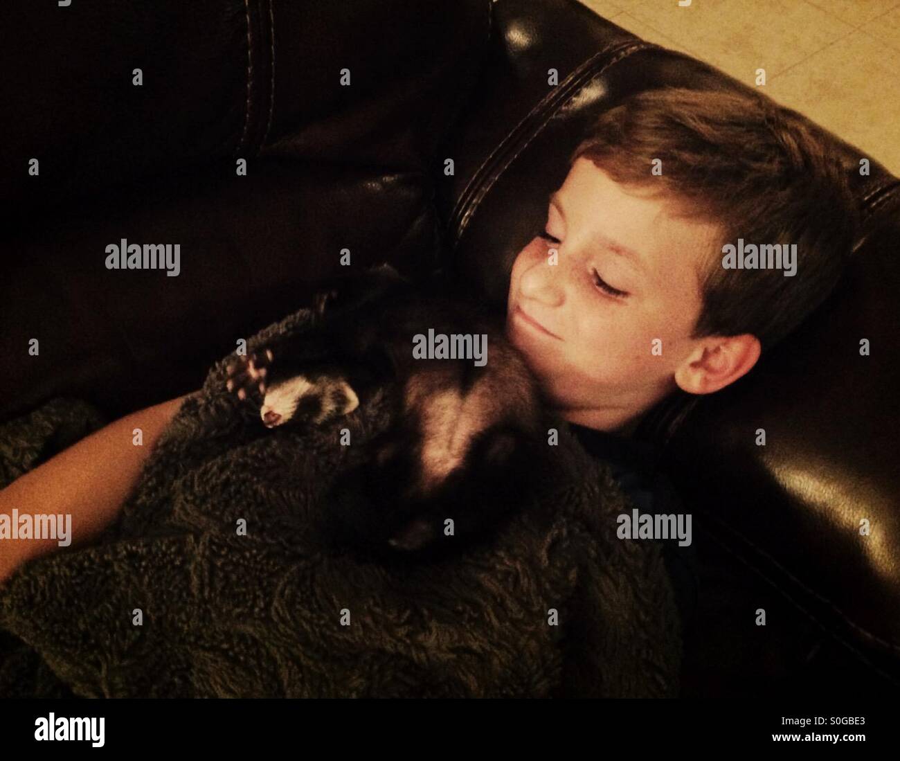 A boy and his ferret, kounavi Stock Photo - Alamy