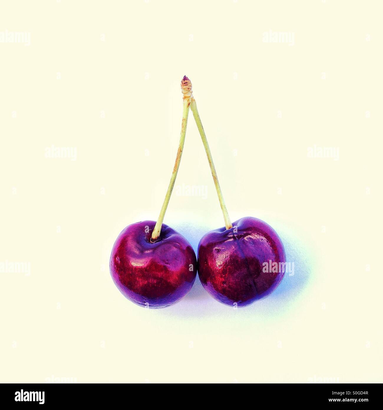 Black cherries hi-res stock photography and images - Alamy