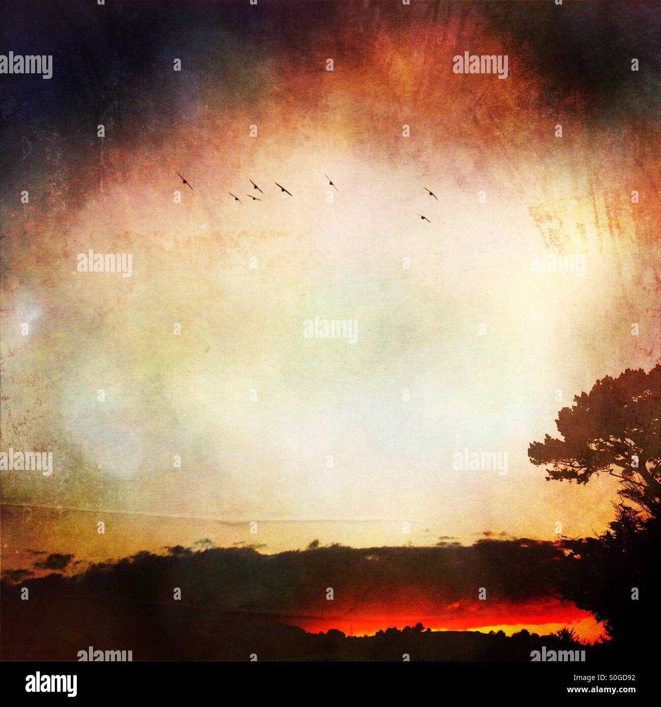 Warmth of the sun Stock Photo - Alamy