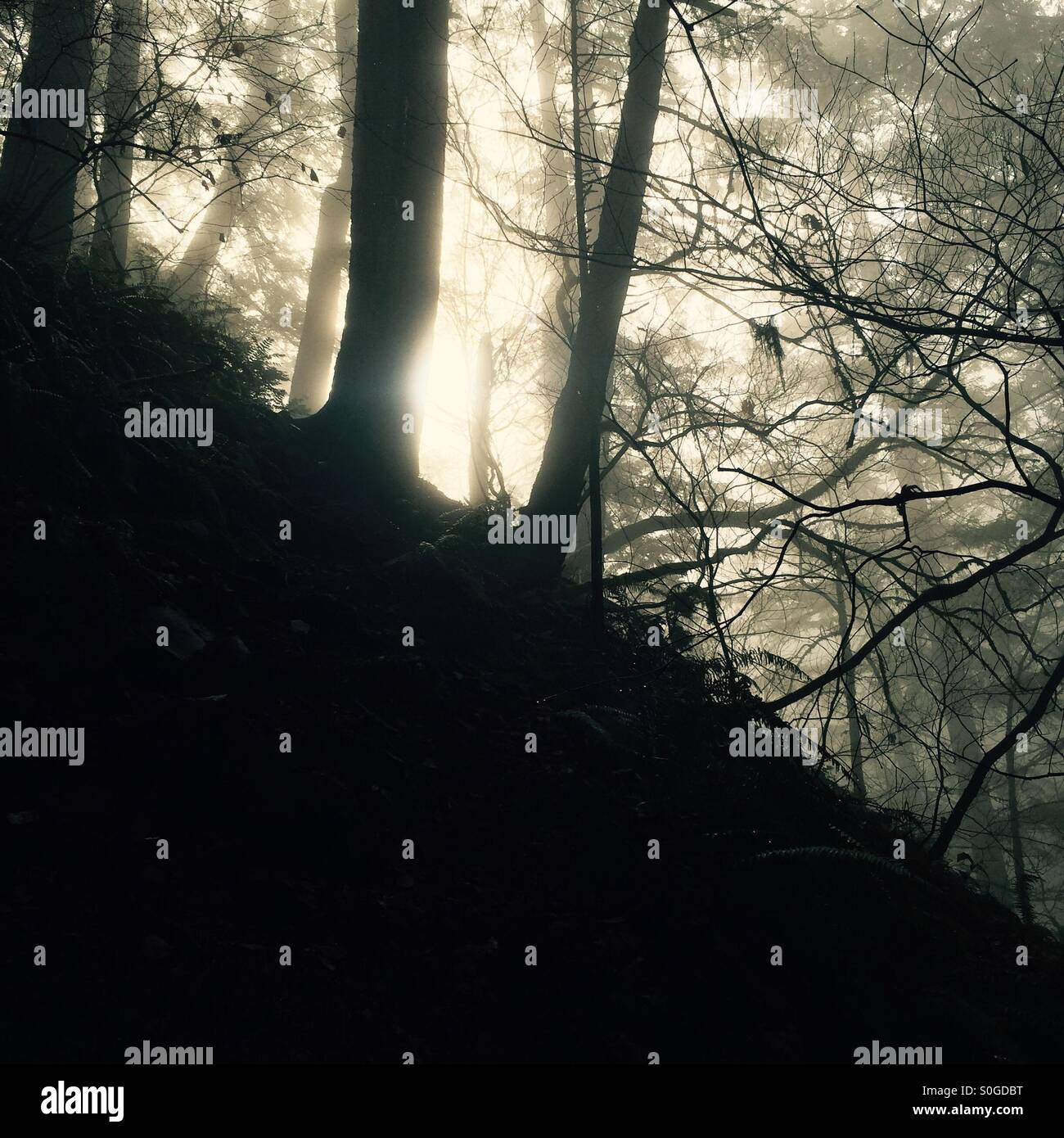 Slope light hi-res stock photography and images - Alamy