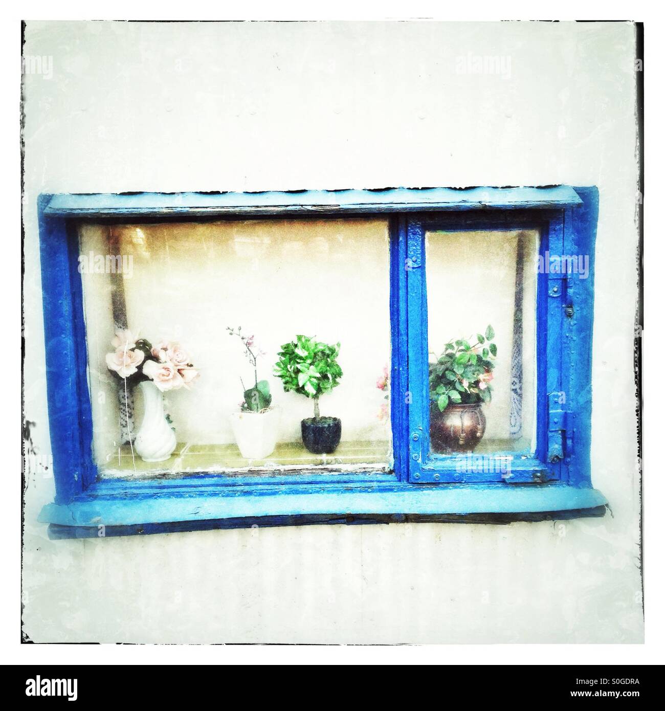 Funny window hi-res stock photography and images - Alamy