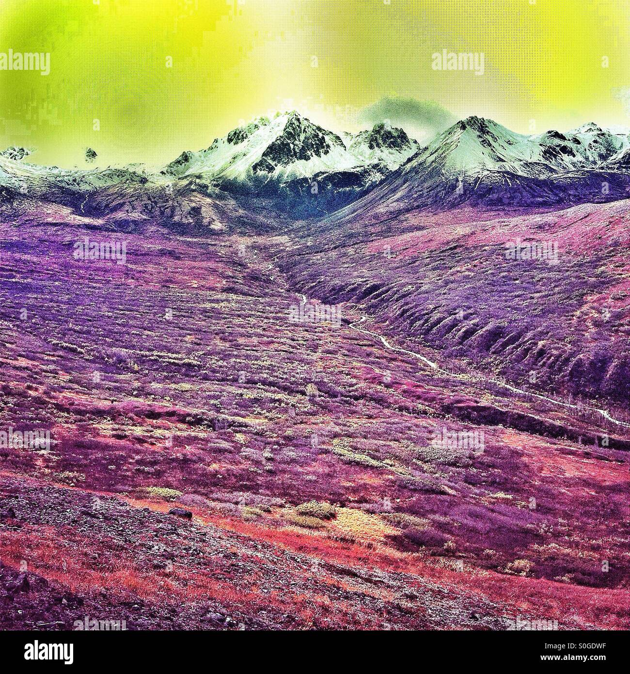 Valley of 1000 Bears Stock Photo - Alamy