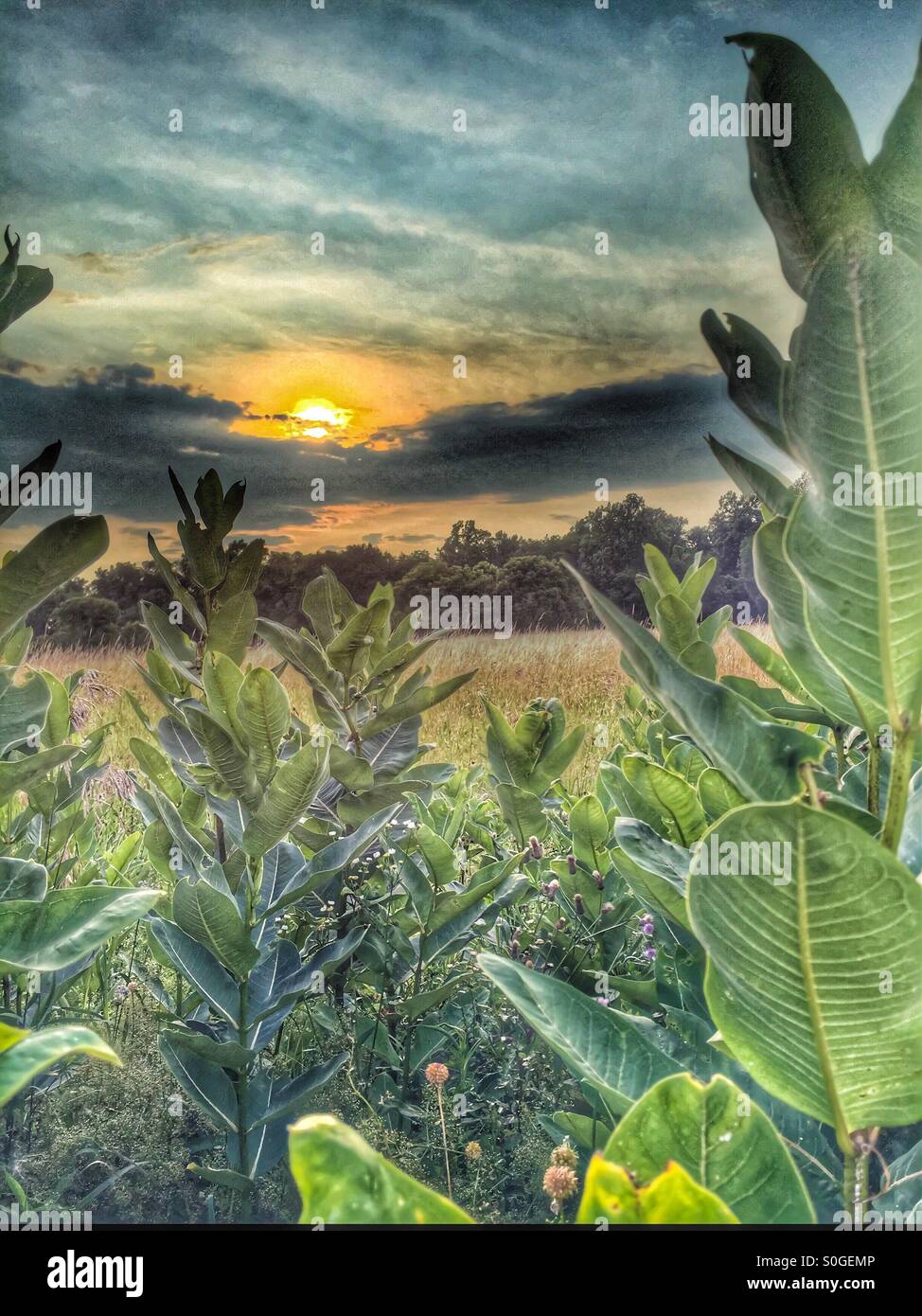 Wobbles hi-res stock photography and images - Alamy