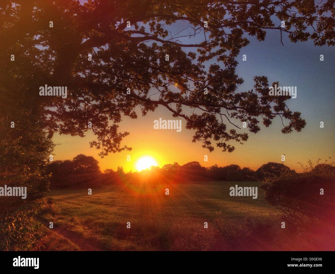Orange sunset lens flare hi-res stock photography and images - Alamy