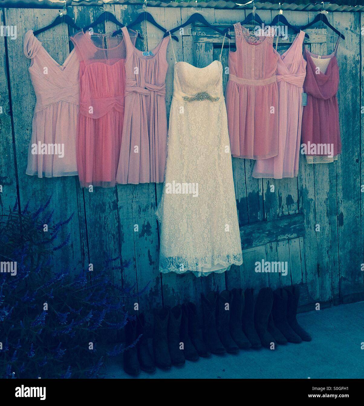 Bridal party dresses on display Stock Photo - Alamy