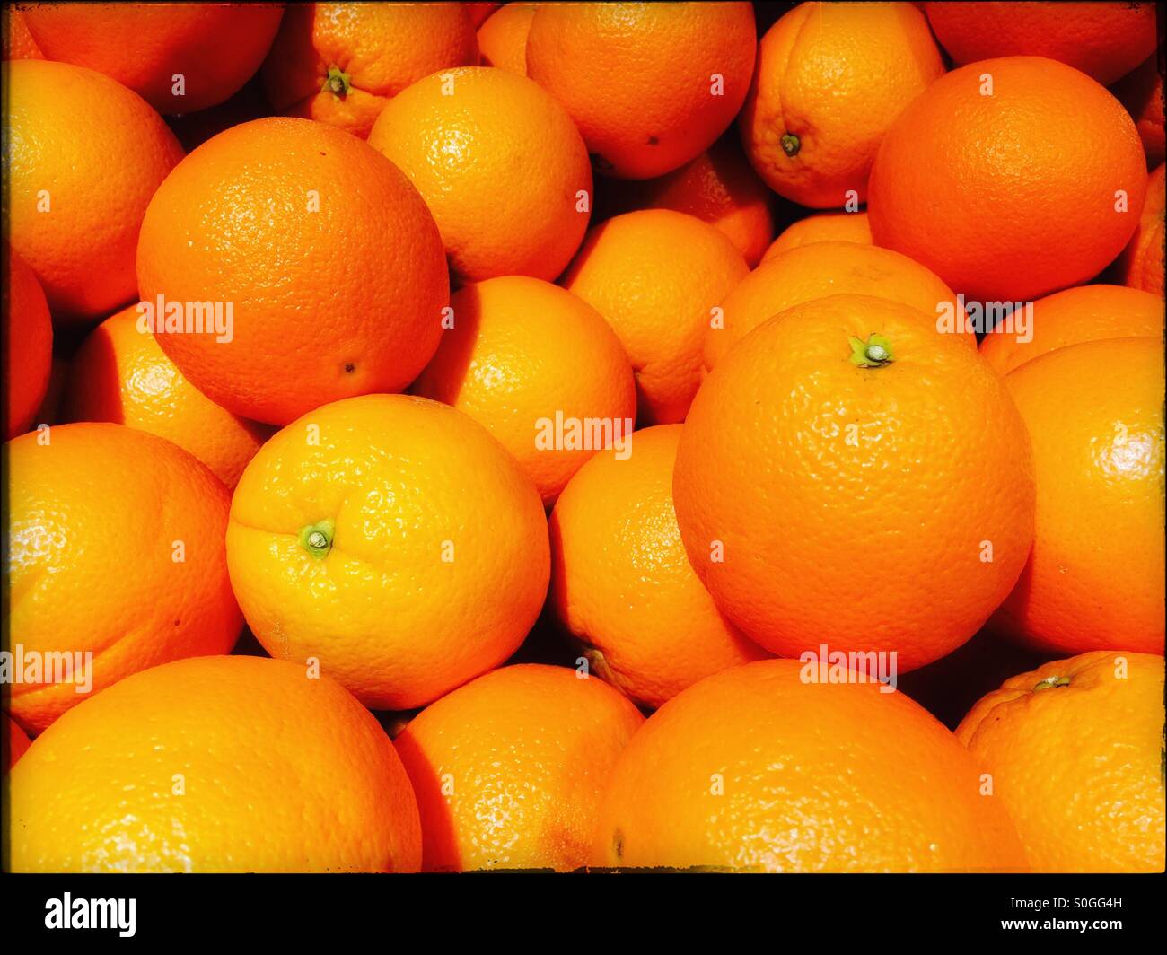 Oranges displayed in supermarket Stock Photo - Alamy
