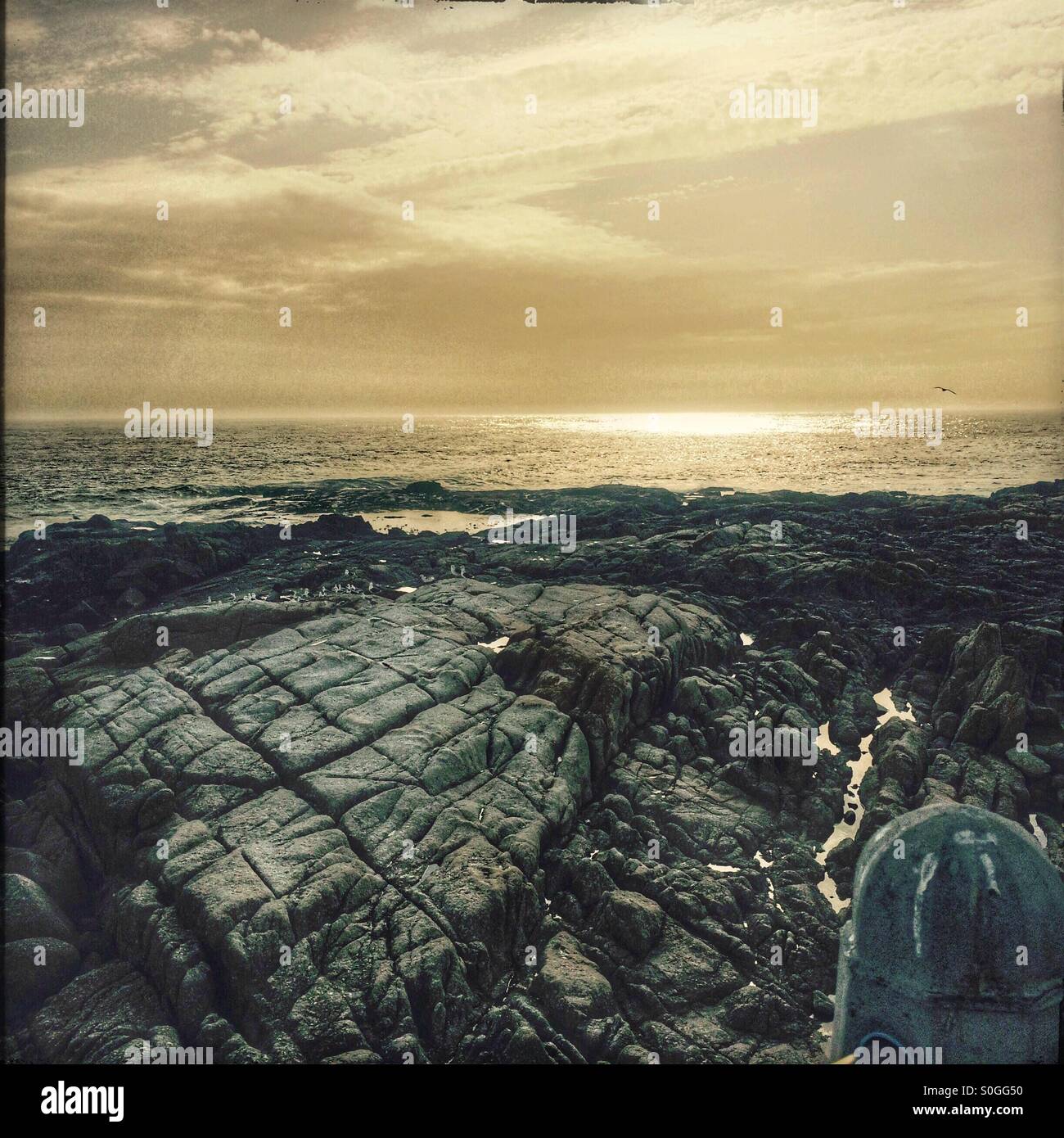 Sea view along the Seapoint promenade Stock Photo - Alamy