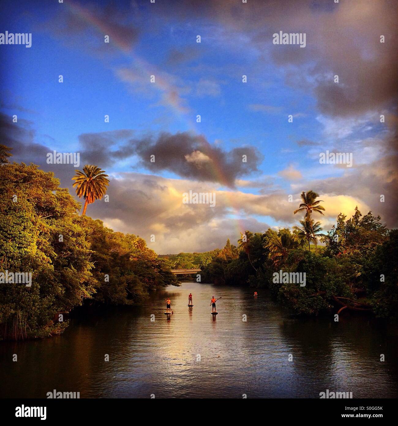 Rain in paddle hi-res stock photography and images - Alamy