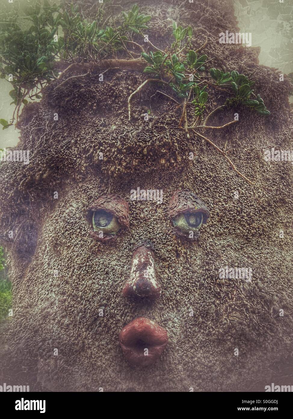 Palm Base High Resolution Stock Photography and Images - Alamy