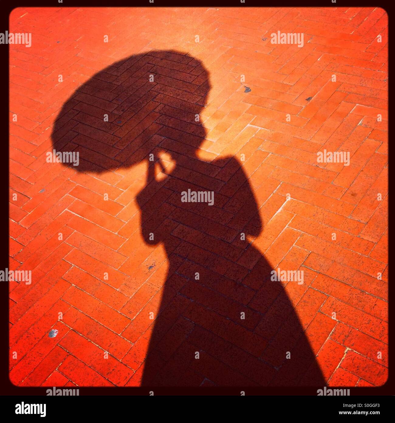 Silhouette shadow female holding parasol hi-res stock photography and ...