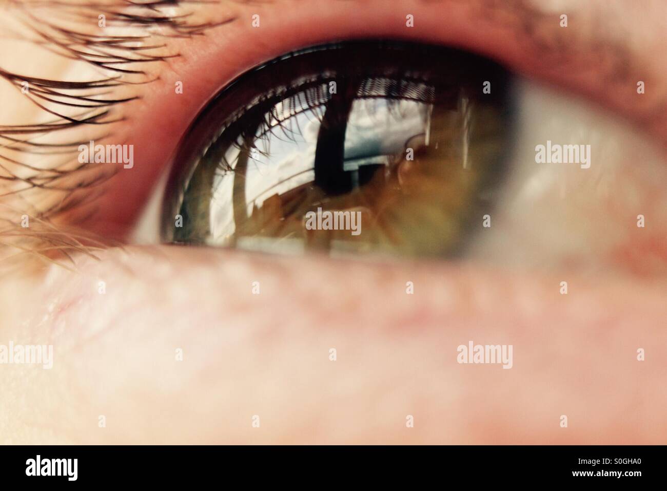 Reflective eyes hi-res stock photography and images - Alamy