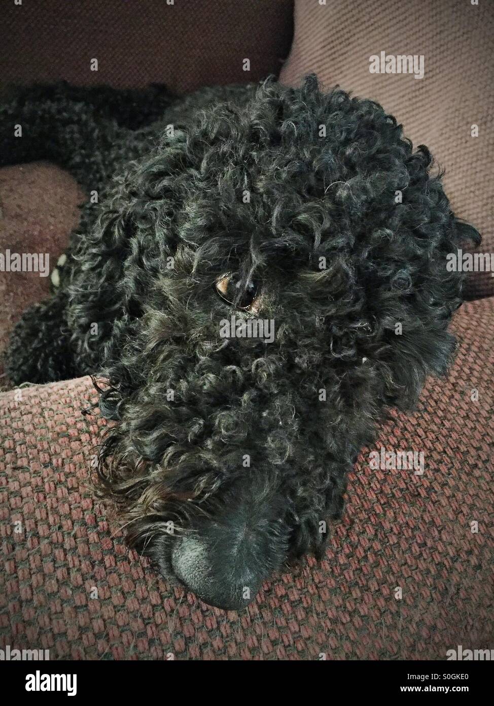 Sprawled And Chair High Resolution Stock Photography and Images - Alamy