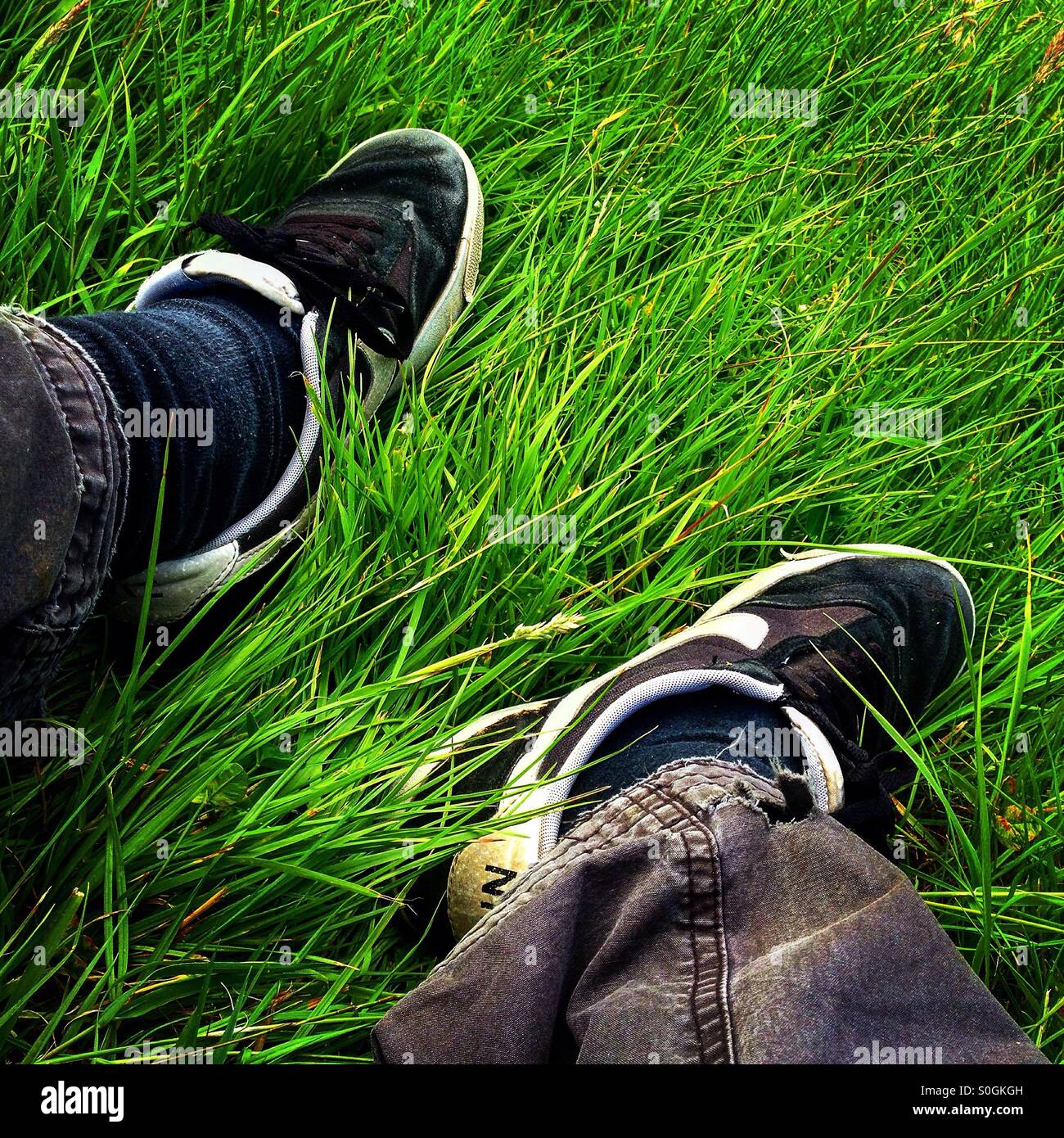 Legs long grass hi-res stock photography and images - Alamy