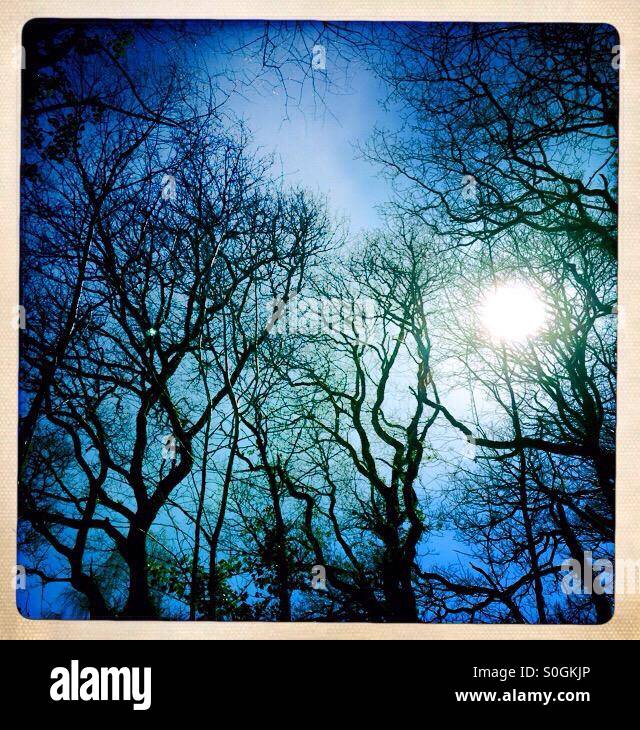 Suntree hi-res stock photography and images - Alamy