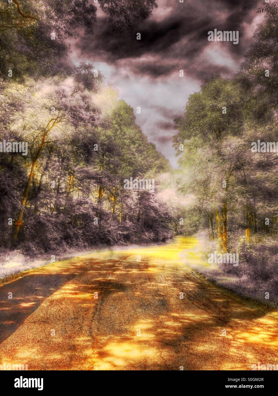 Scary Road Hd