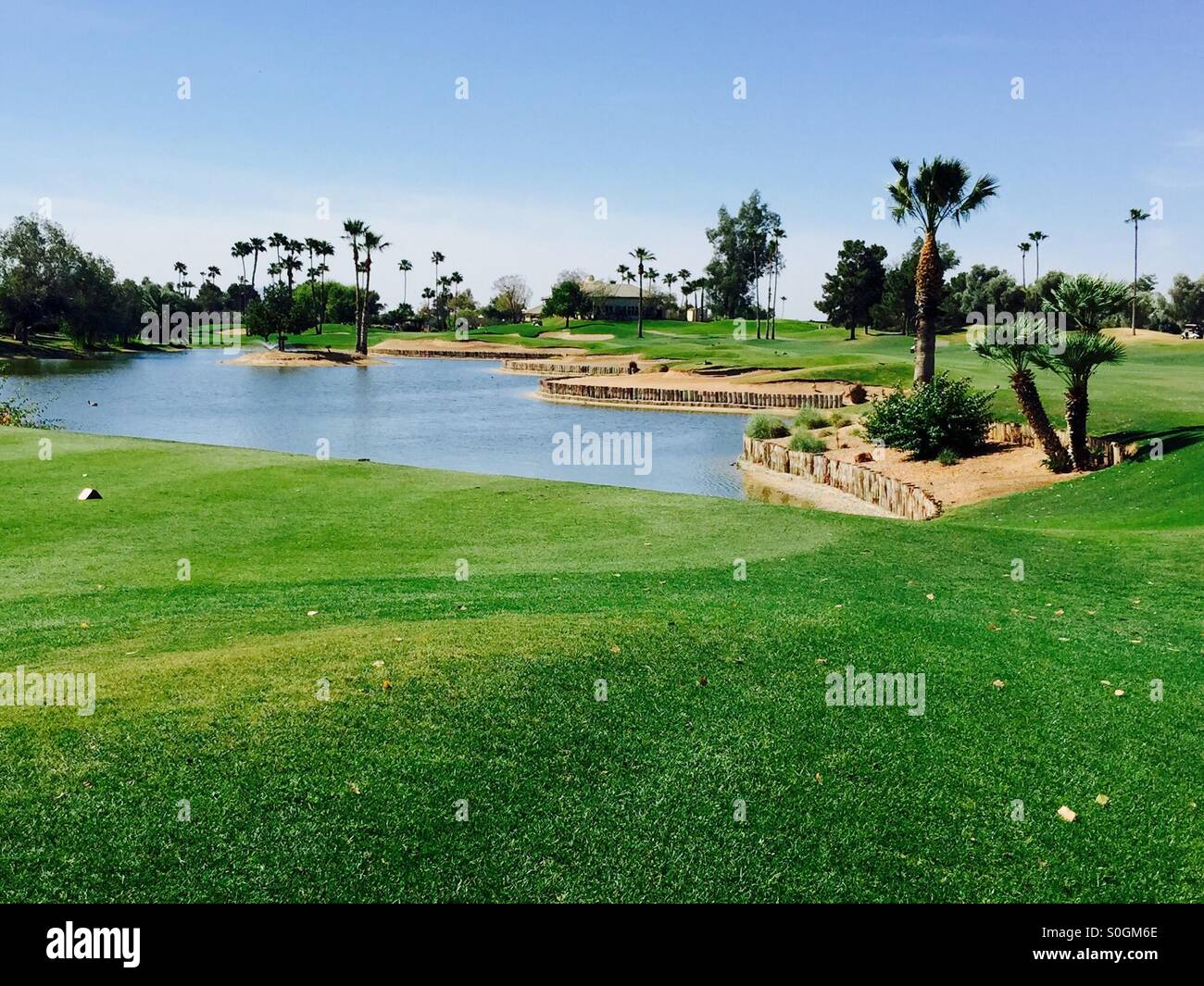 Water phoenix hi-res stock photography and images - Alamy